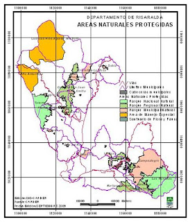 Alto del Rey Balboa: ÁRESA NATURALE EN EL DEPARTAMENTO